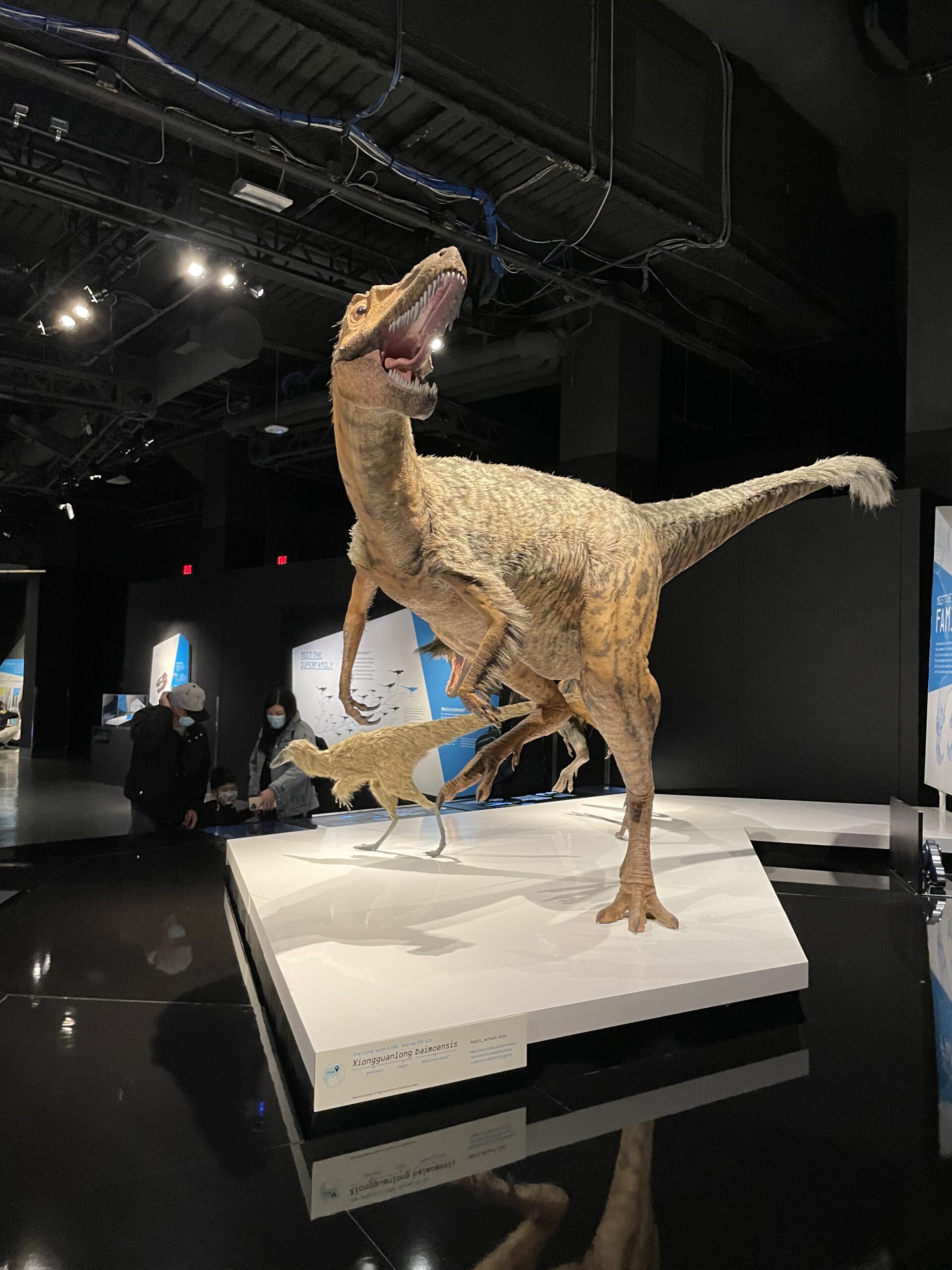 Science World: T. Rex, the ultimate predator - Mag Mei Adventures