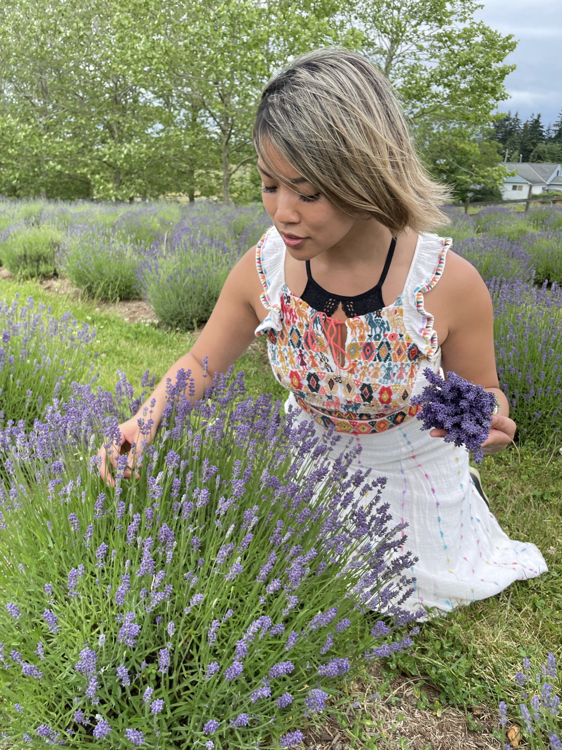 Full Bloom Lavender Farm - Mag Mei Adventures