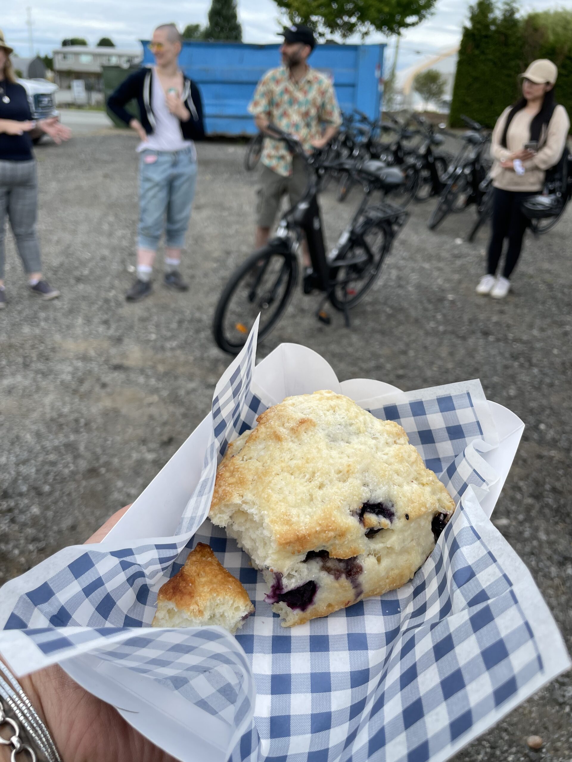 BC Blueberry Season 2022 - Mag Mei Adventures