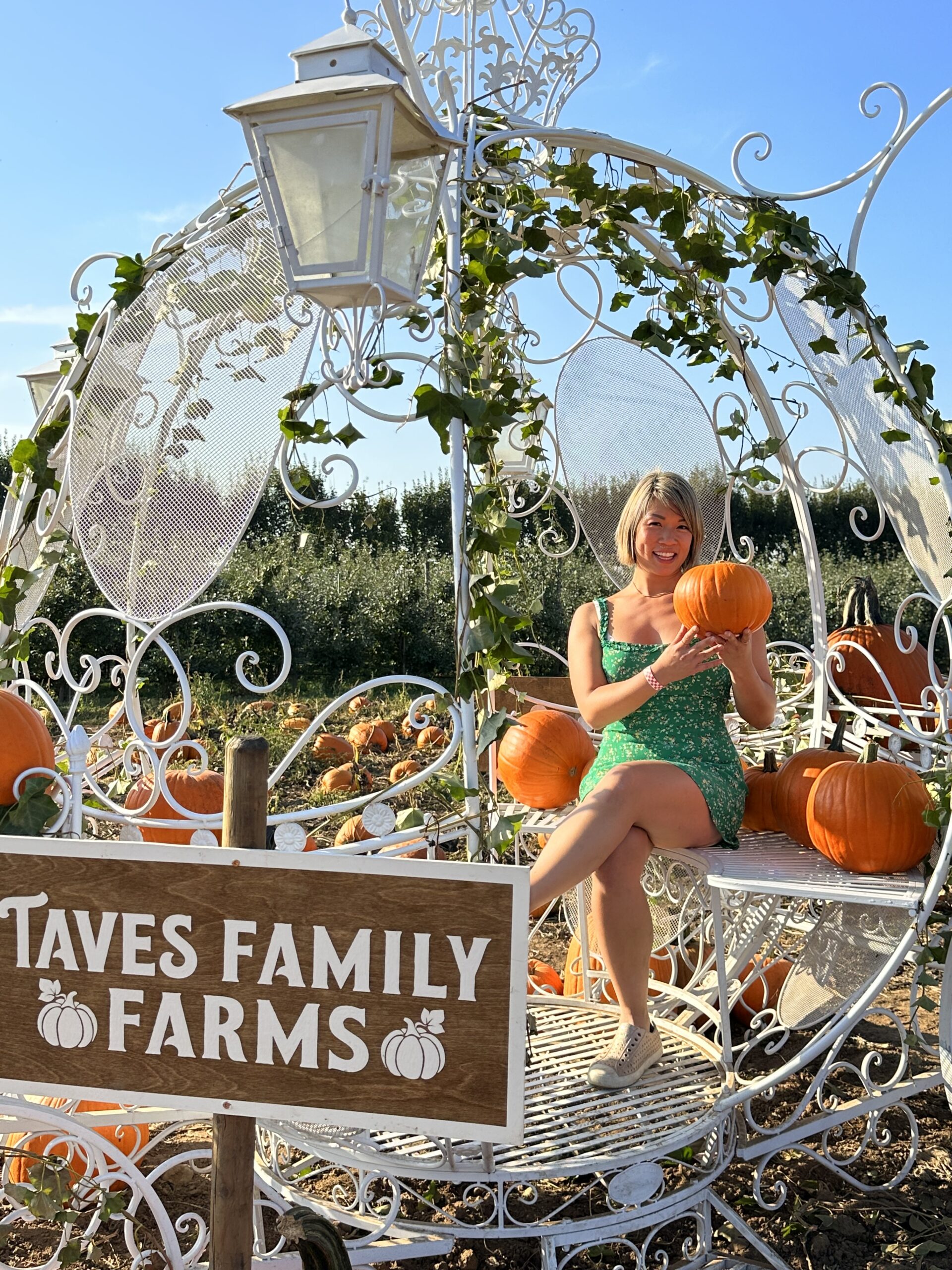 Taves, Pumpkin Patch photoshoot - Mag Mei Adventures