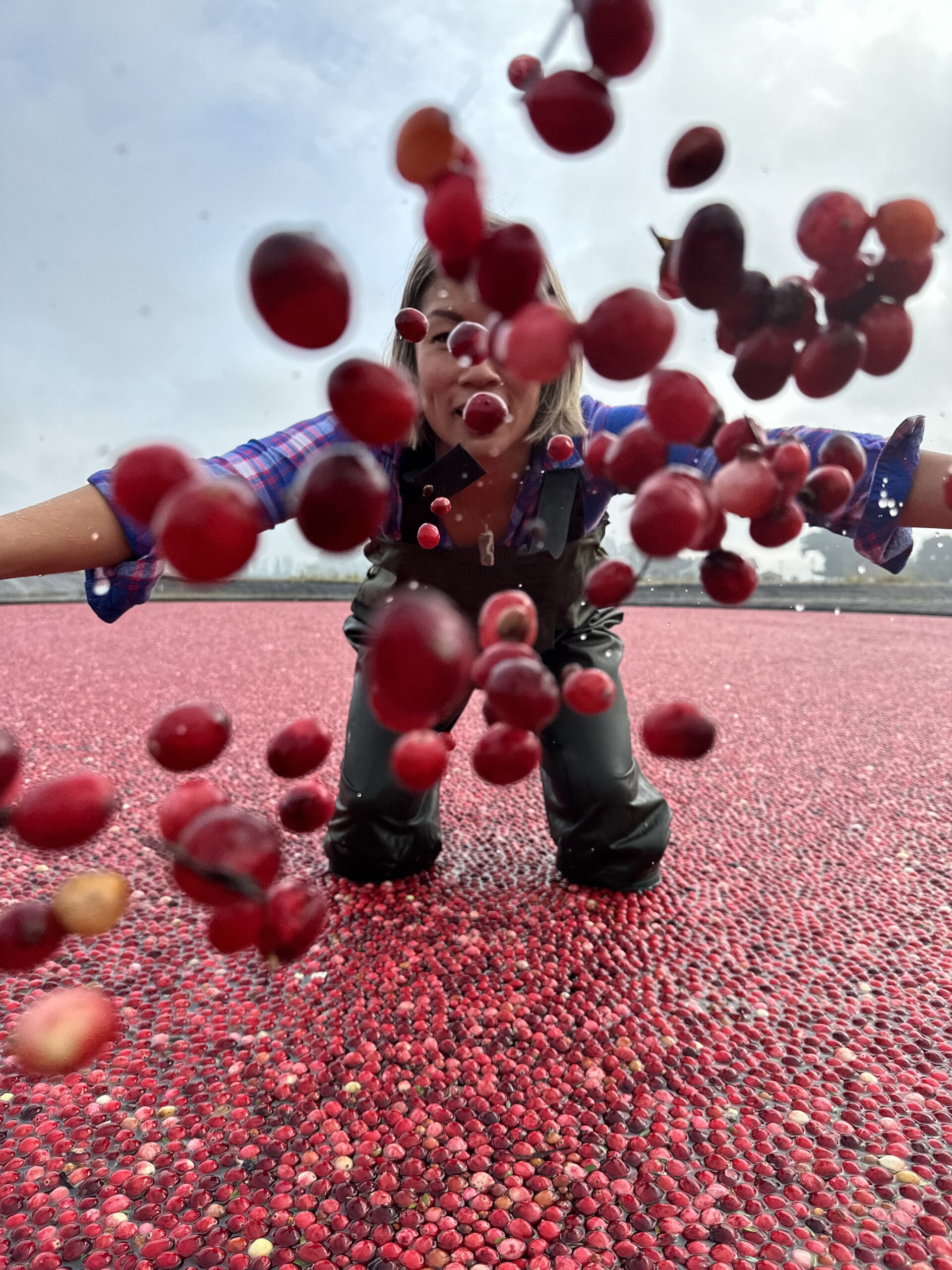 The Bog Riverside Cranberry Farm - Mag Mei Adventures