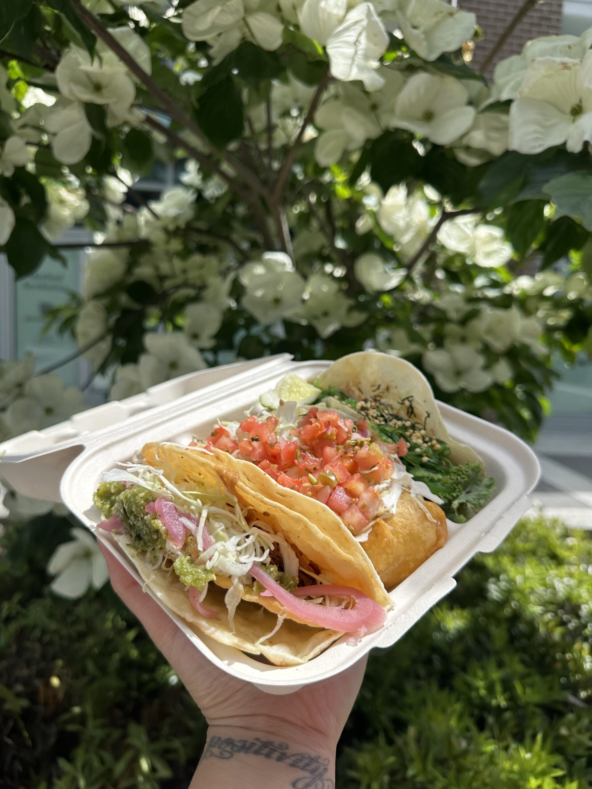 Tacofino, White Rock - Mag Mei Adventures