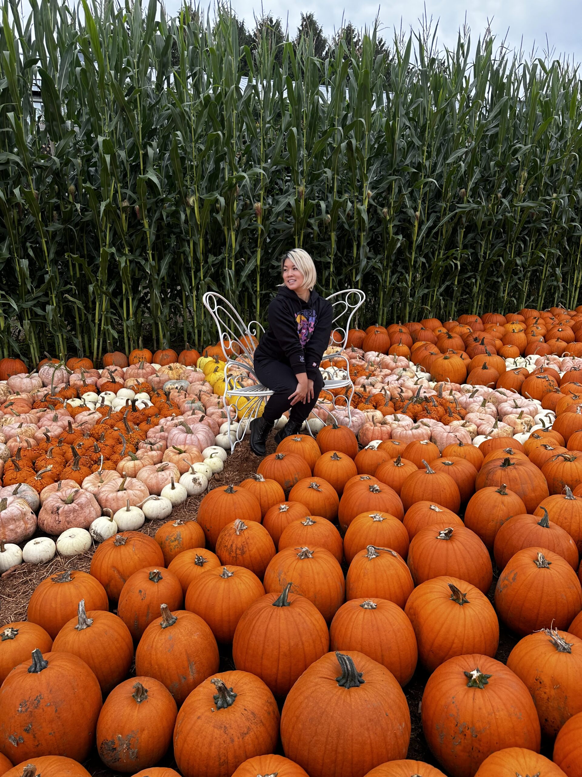 Fall Magic at Taves Family Farm - Mag Mei Adventures