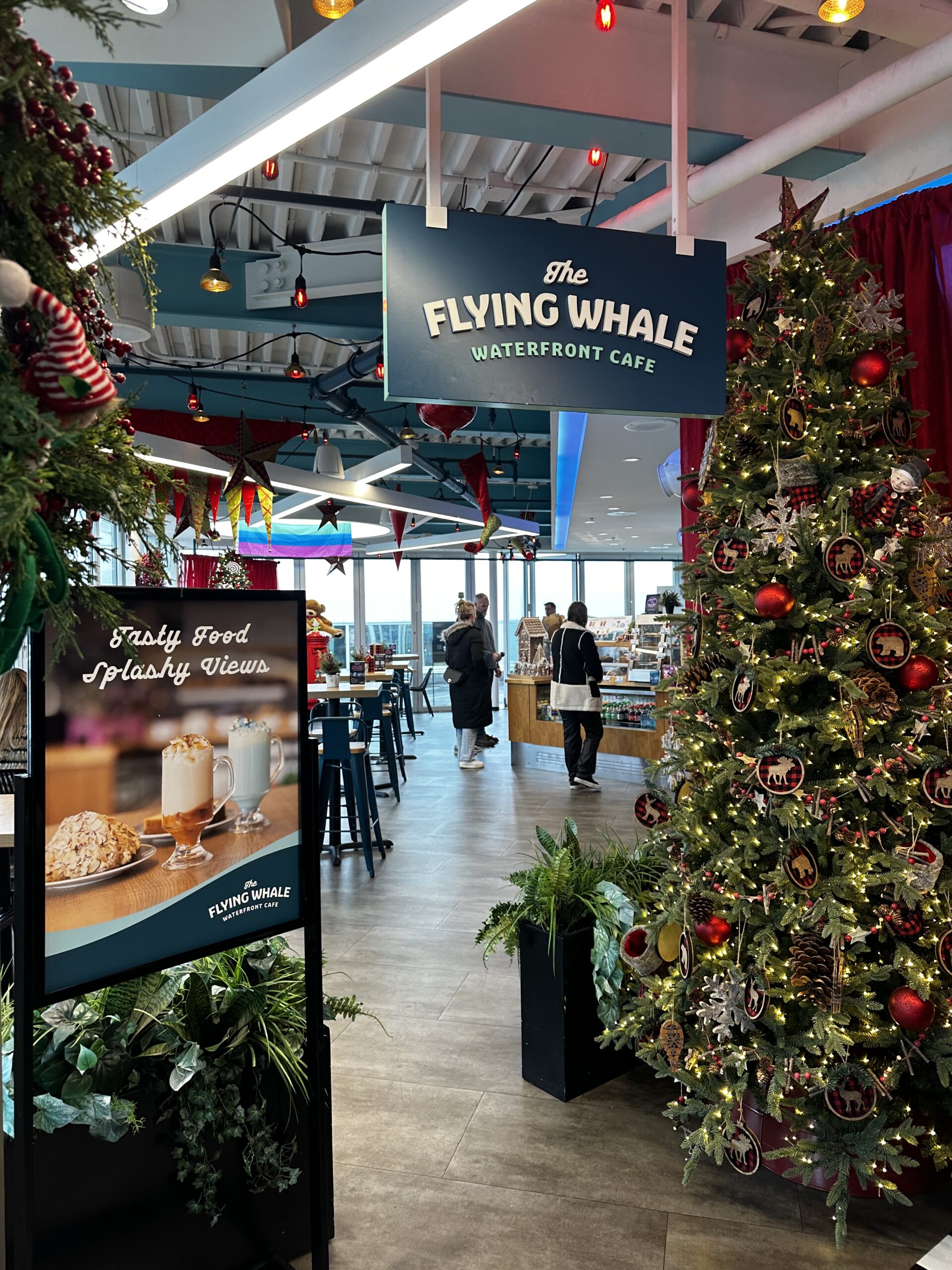 Flyover Canada: Soar with Santa 2025 - Mag Mei Adventures